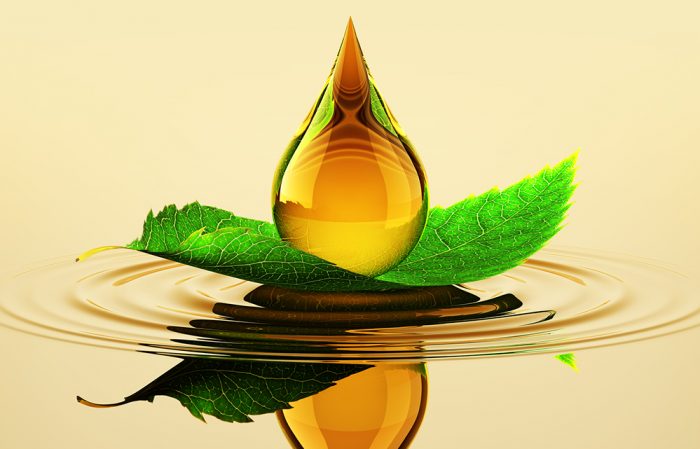 Leaf With Oil Drop On The Water | SCL